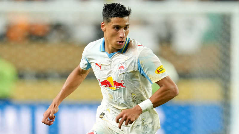 Neuer Stürmer: Wolfsburg holt Daghim